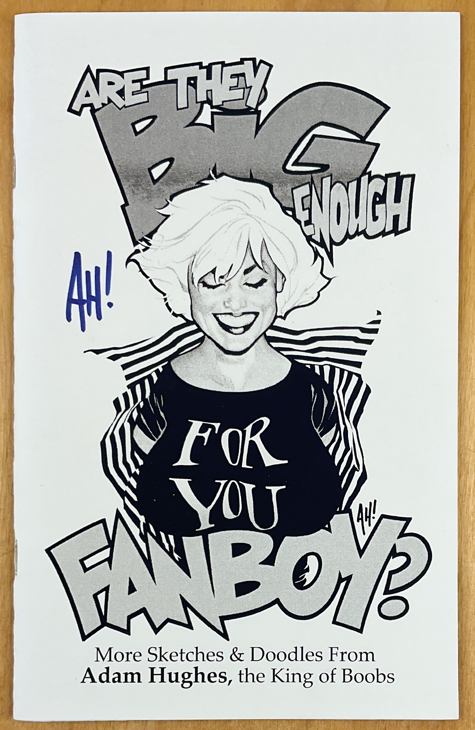 Are They Big Enough for You, Fanboy? - Signed – Stuart Ng Books