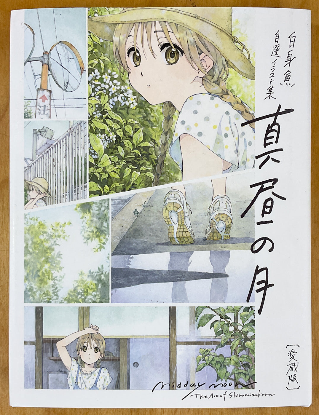 Midday Moon: The Art of Shiromizakana – Stuart Ng Books