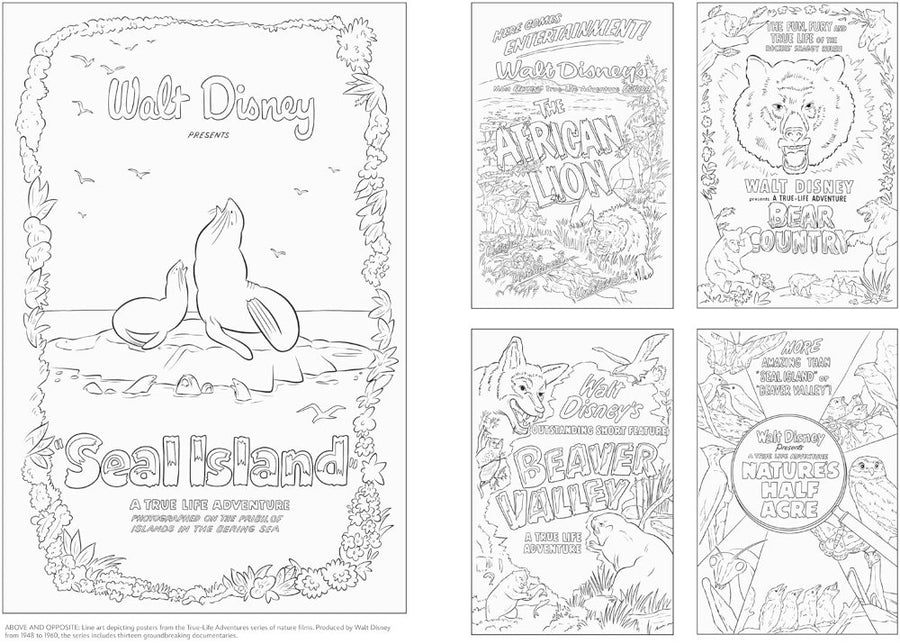 Art of Coloring: Disney 100 Years of Wonder – Stuart Ng Books
