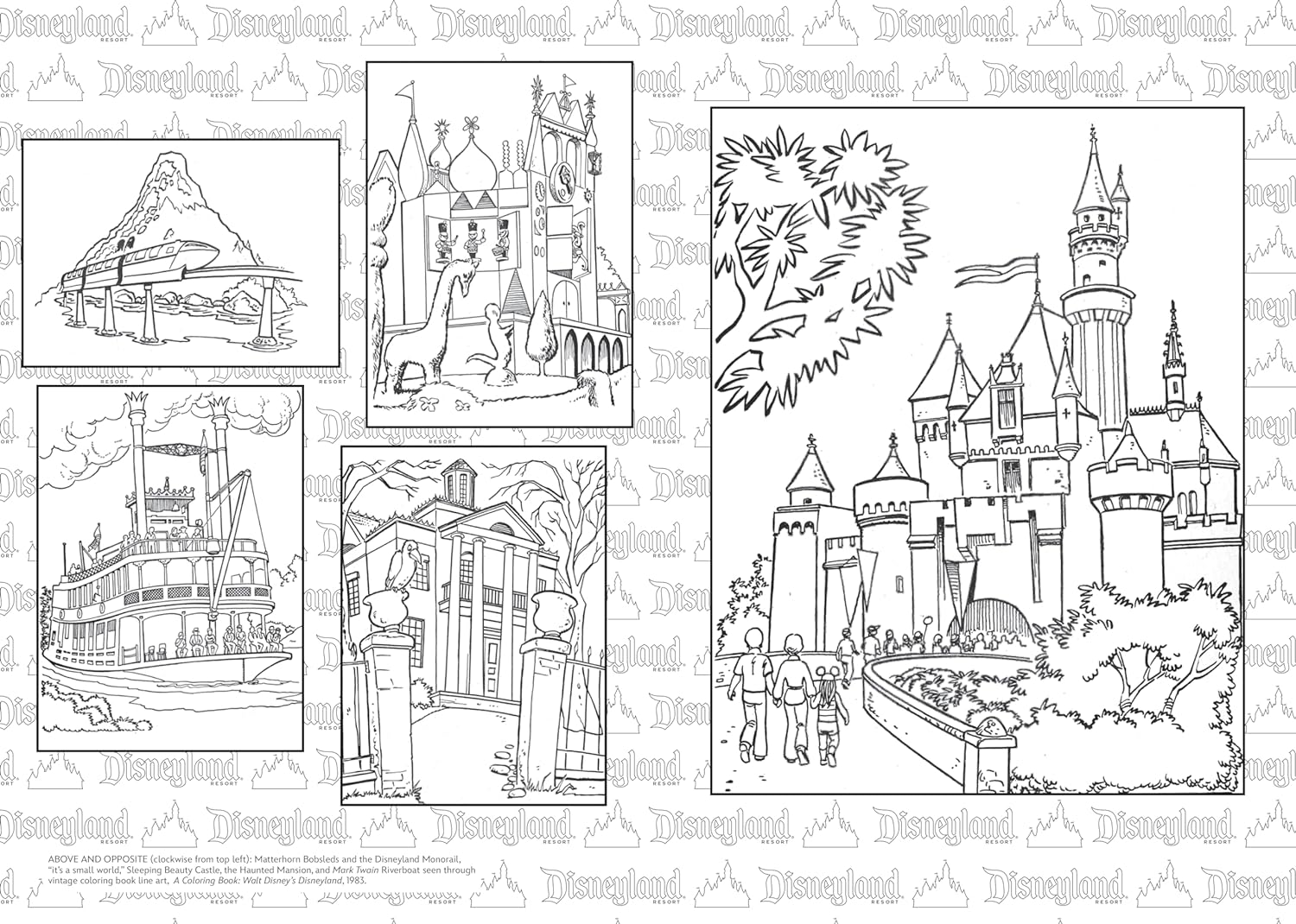 Art of Coloring: Disney 100 Years of Wonder – Stuart Ng Books