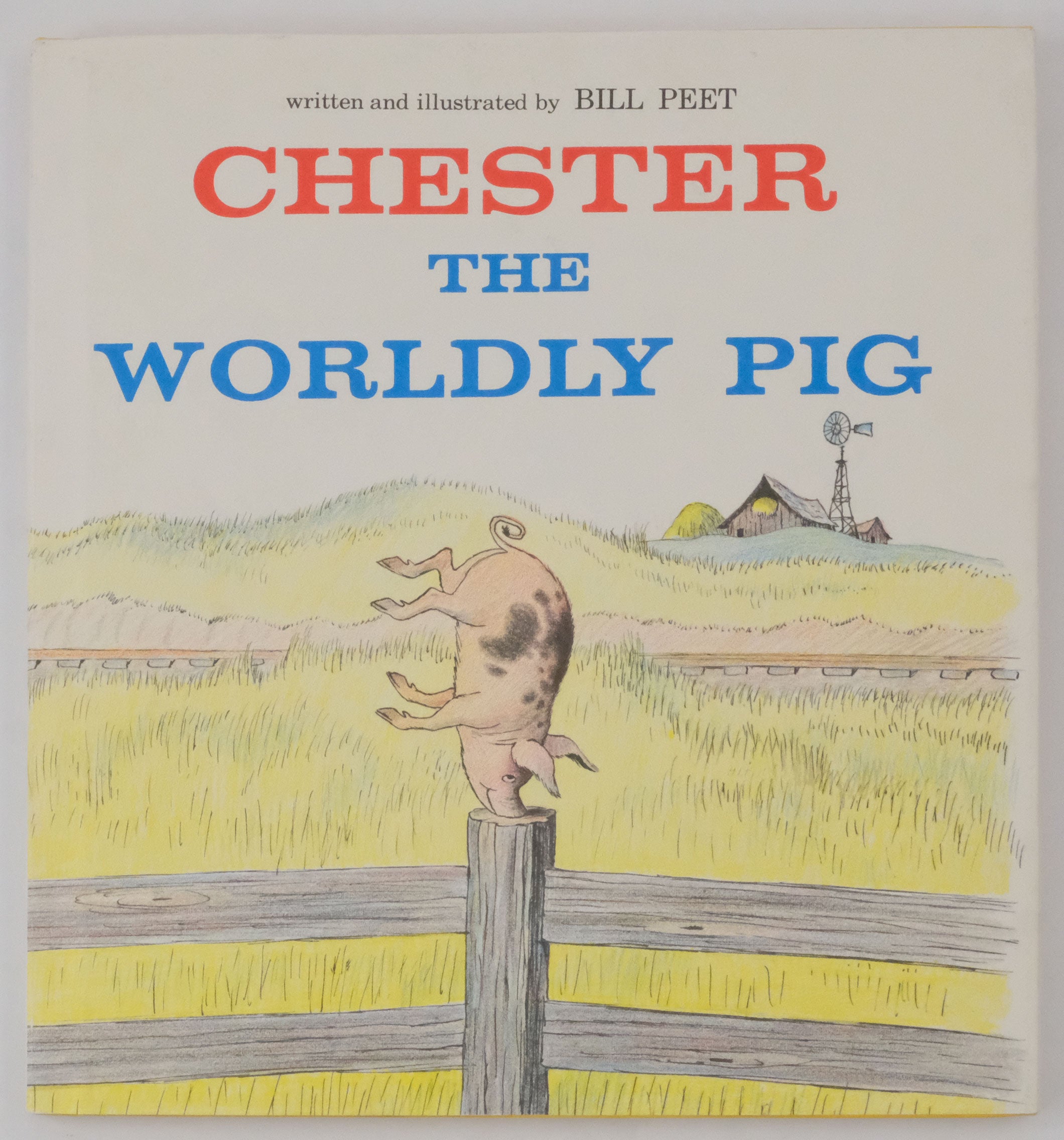Chester the Worldly Pig - Hardcover – Stuart Ng Books
