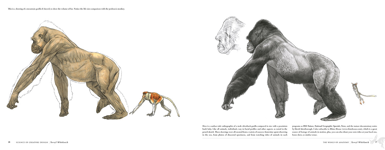 Science of Creature Design: Understanding Animal Anatomy - First Print ...