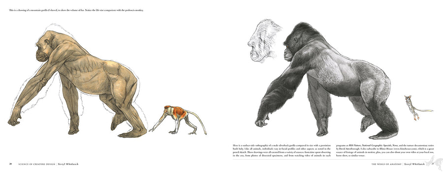 Science of Creature Design: Understanding Animal Anatomy - First Print ...