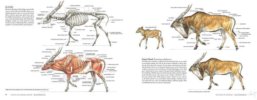 Science of Creature Design: Understanding Animal Anatomy - First Print ...