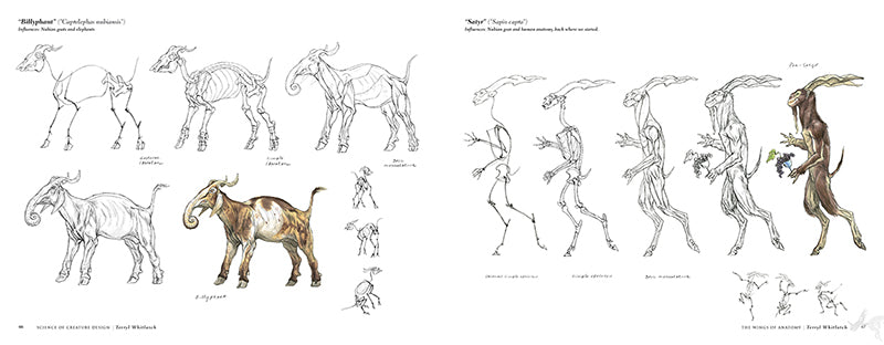 Science of Creature Design: Understanding Animal Anatomy – Stuart Ng Books