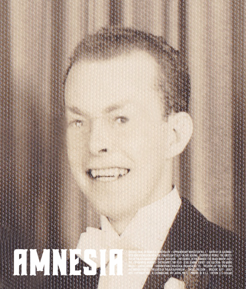 Amnesia Supplementary Newsletter No. 2 – Stuart Ng Books