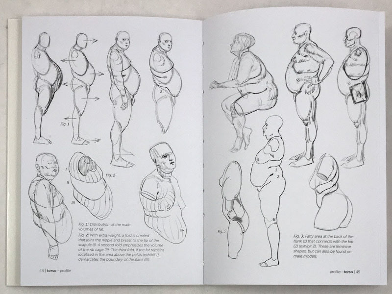 Morpho: Fat and Skin Folds: Anatomy for Artists – Stuart Ng Books
