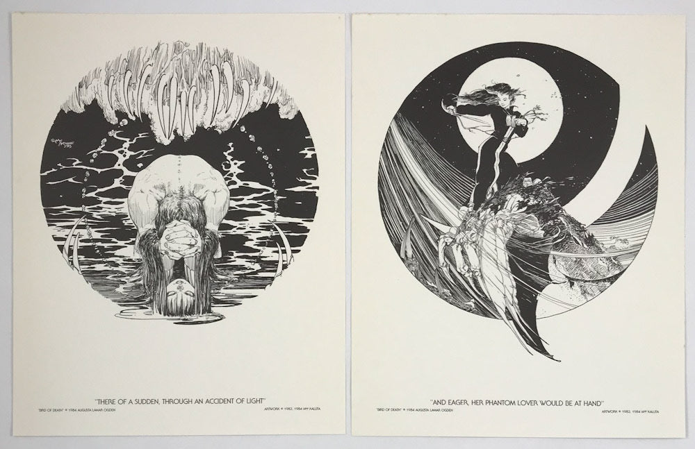 Bird of Death Portfolio - Signed & Numbered – Stuart Ng Books