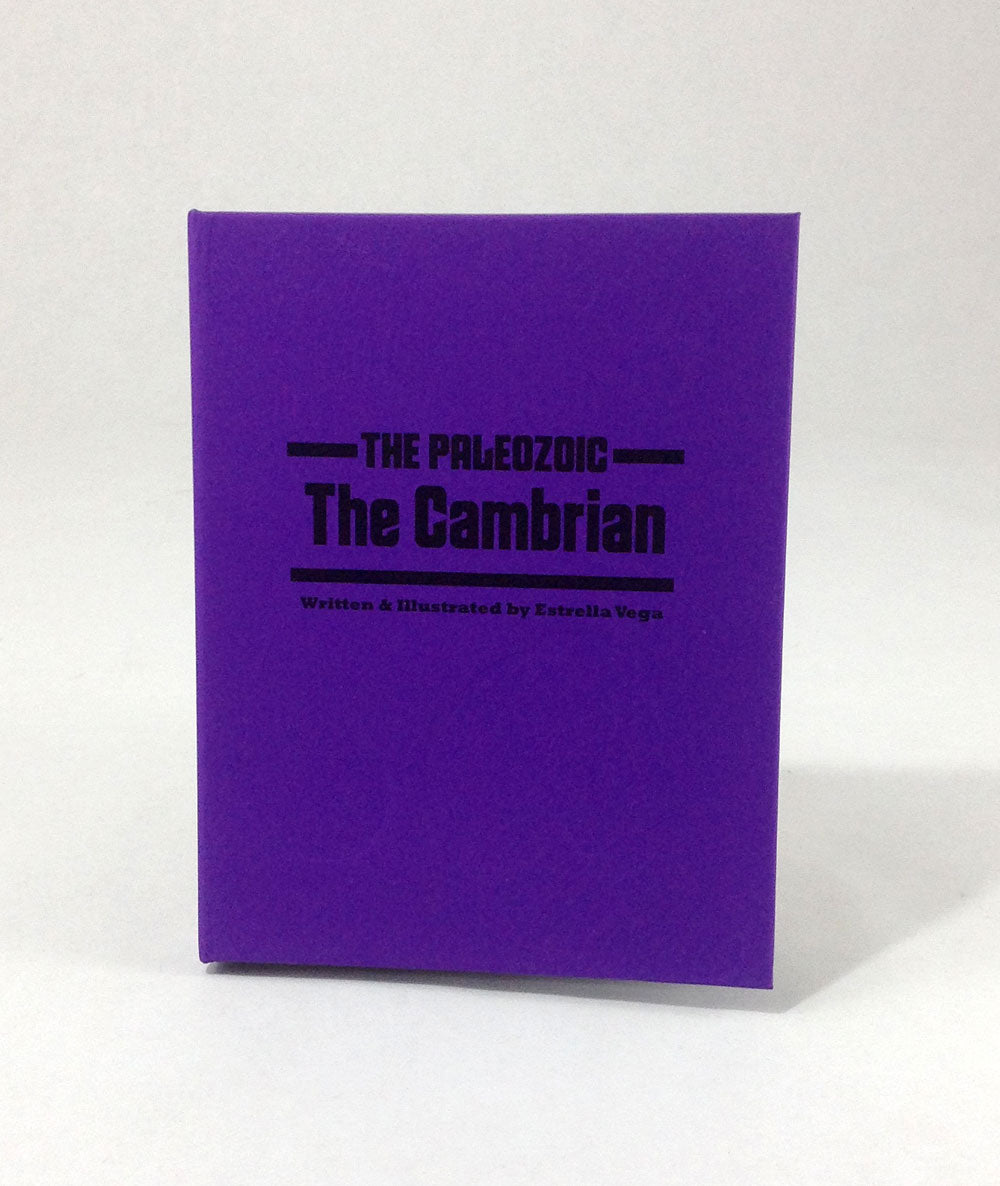 The Paleozoic Book 1: The Cambrian – Stuart Ng Books