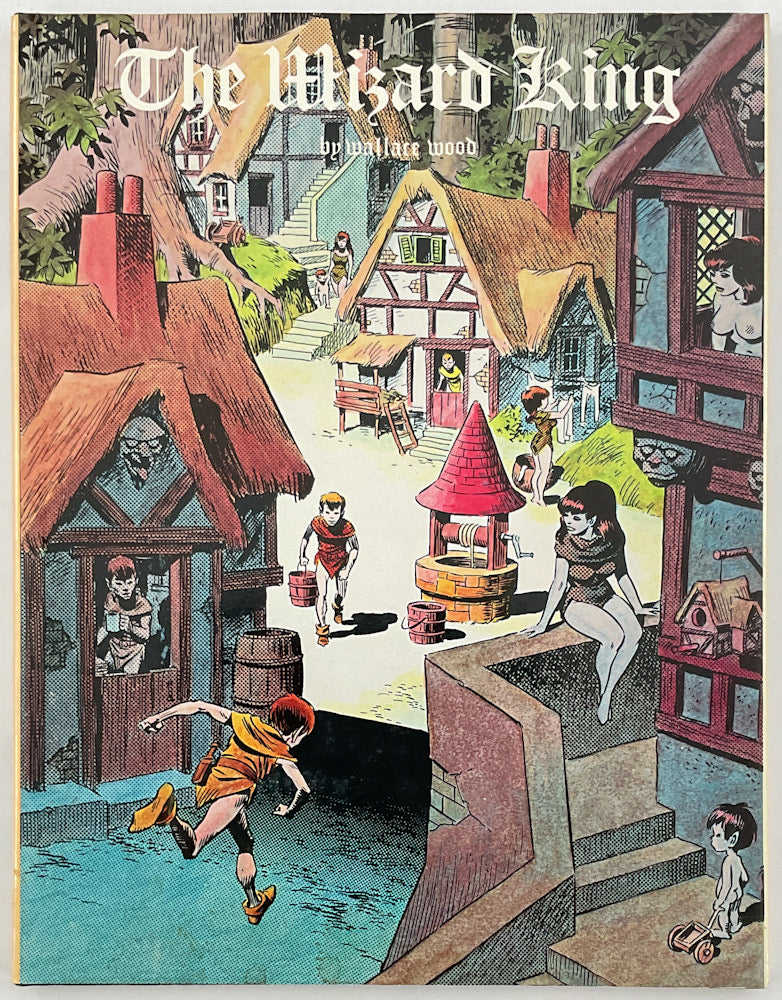 The Wizard King - Limited Edition Hardcover - Signed – Stuart Ng Books