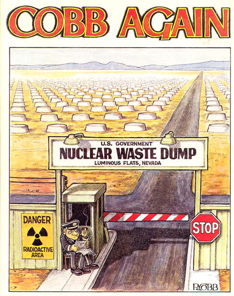 Cobb Again (Near Fine 1st) – Stuart Ng Books