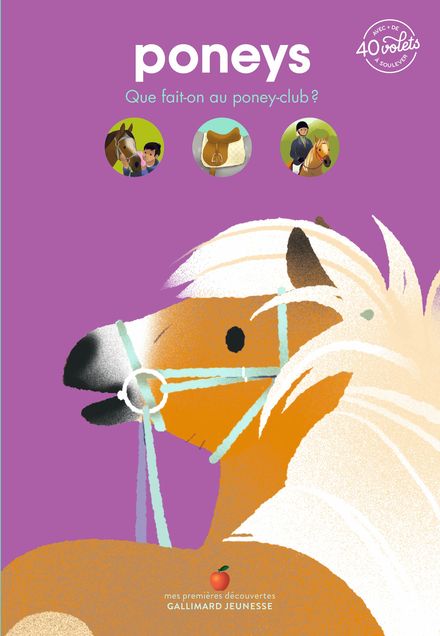 Poneys: Que fait-on au poney-club? – Stuart Ng Books