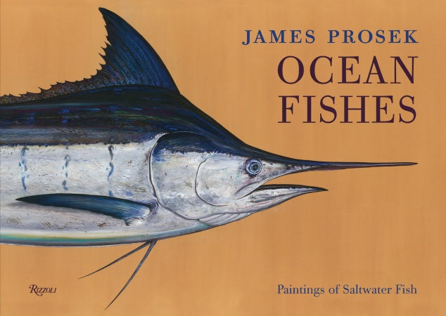 Ocean Fishes: Paintings of Saltwater Fish – Stuart Ng Books